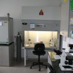 Culevit Forte - supliment natural contra bolilor cu cancer, tumoare ...